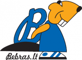 Informacinių technologijų konkurso "Bebras" treniruotė